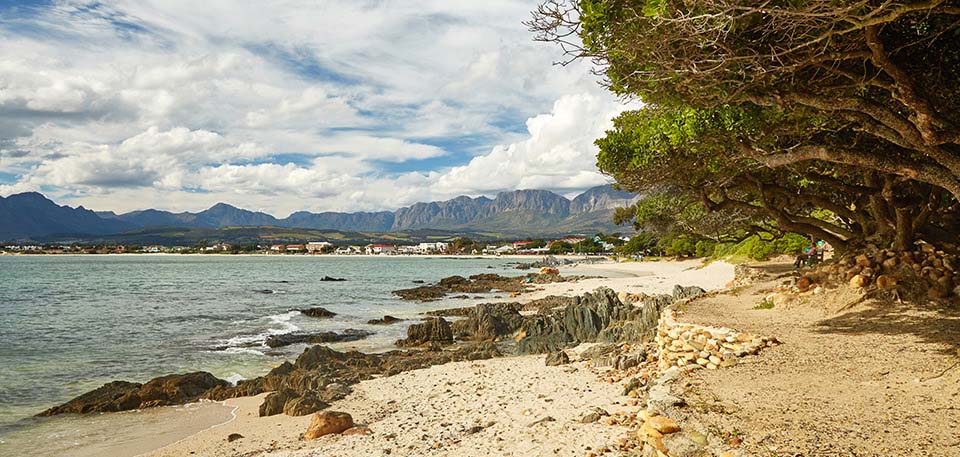 Property Info | ekko