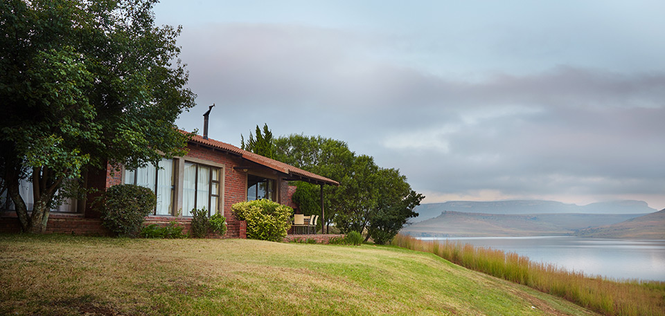 Property Info | ekko